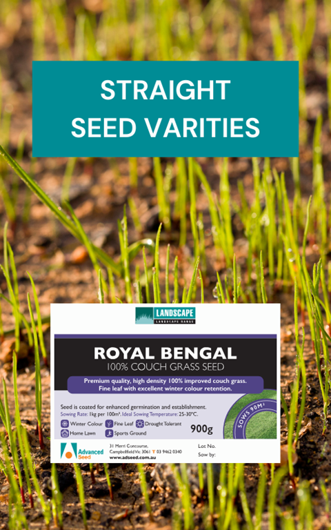 Advanced Seed | Homepage